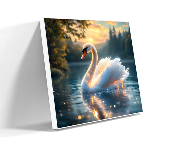 All Frames Collection | Quasar Lighting